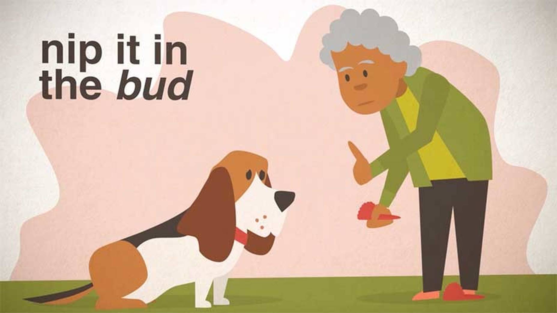 NIP Synonyms: 407 Similar and Opposite Words | Merriam-Webster Thesaurus